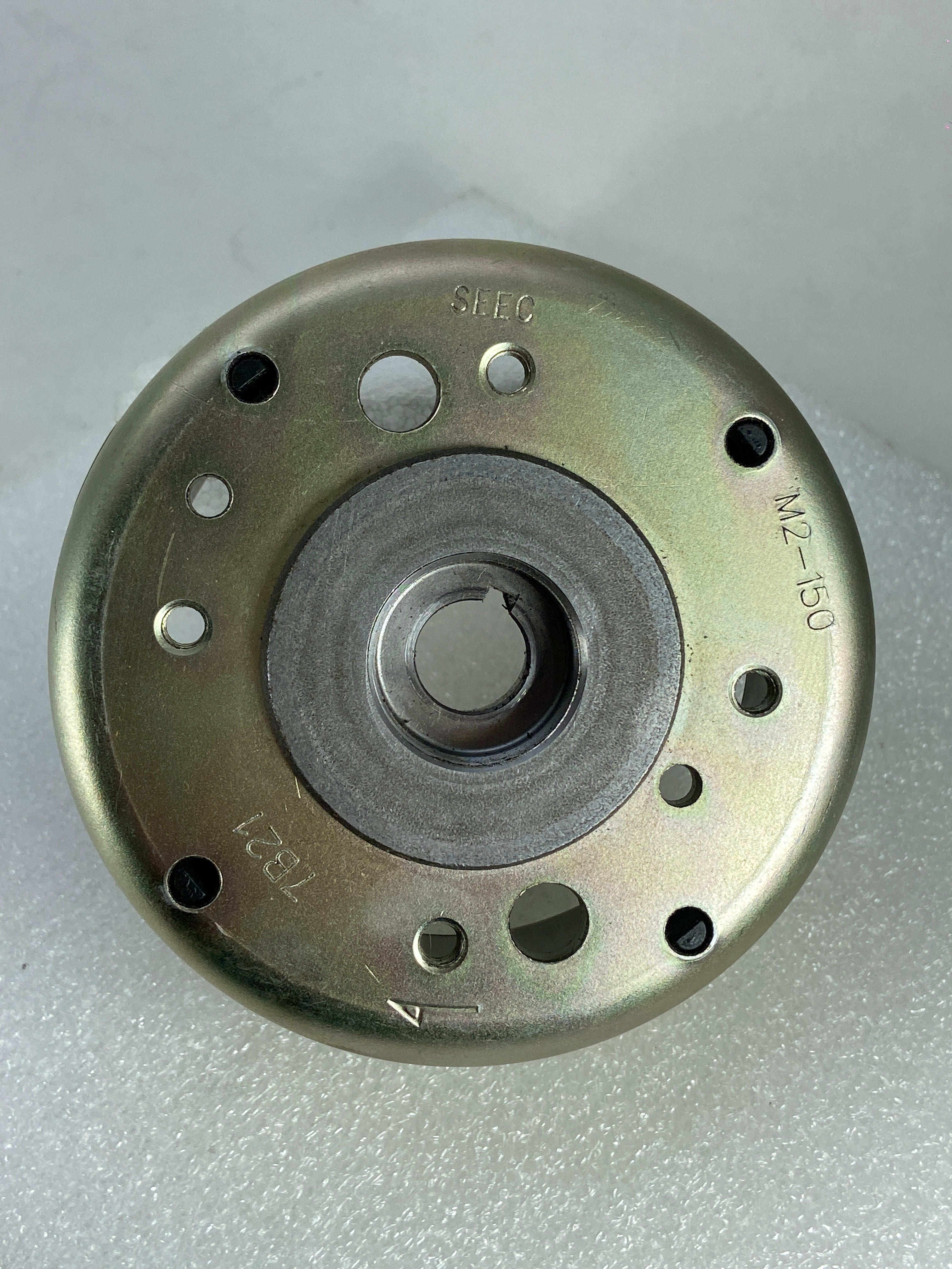 FLYWHEEL COMP (BLUR) – Scooterworks USA, LLC